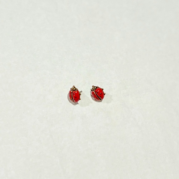 Jewelry | Ladybug Earrings | Poshmark